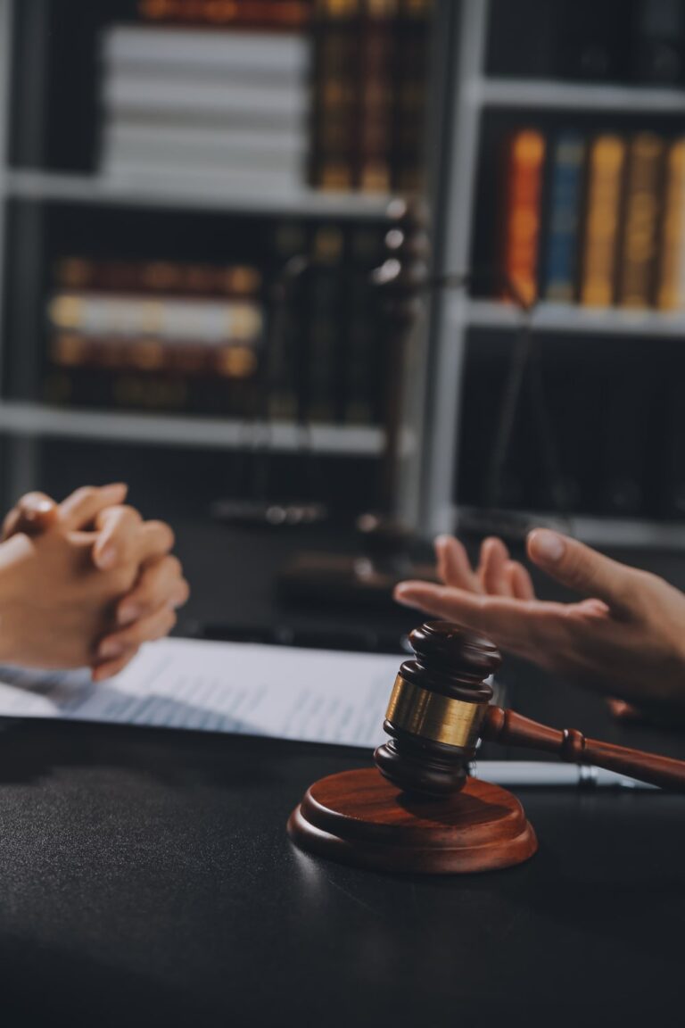 Paternity Lawyer in Pacific Palisades • Family Law Firm LA